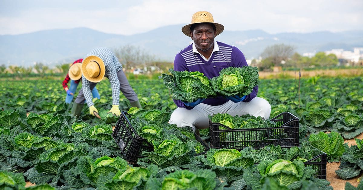 NMSDC Receives $220,000 from Walmart to Support Black Farmers Equity ...